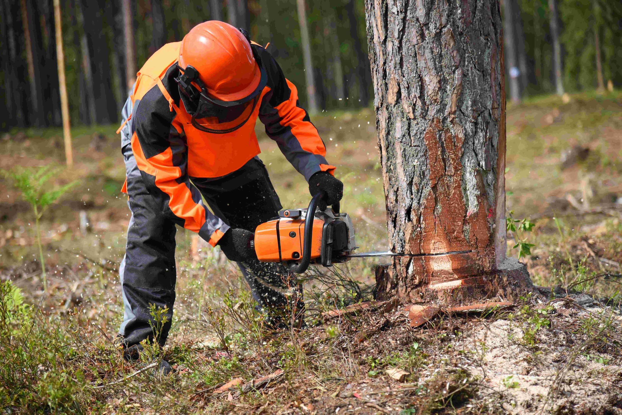 Työelämän laatu on pysynyt vakaana, vaikka epävarmuus synkentää näkymiä ...